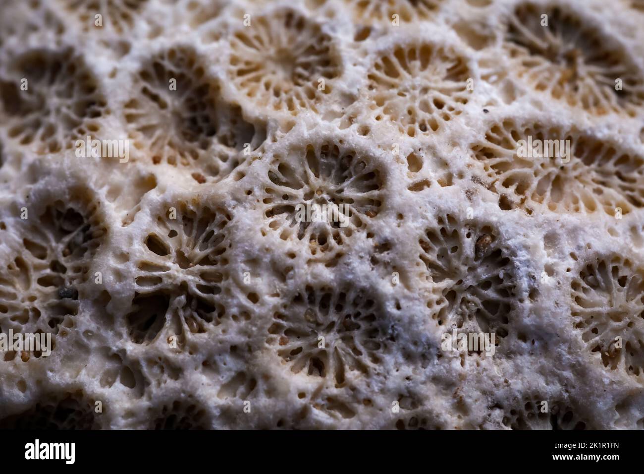 Beautiful seamless abstract round shapes pattern texture design on sea ...