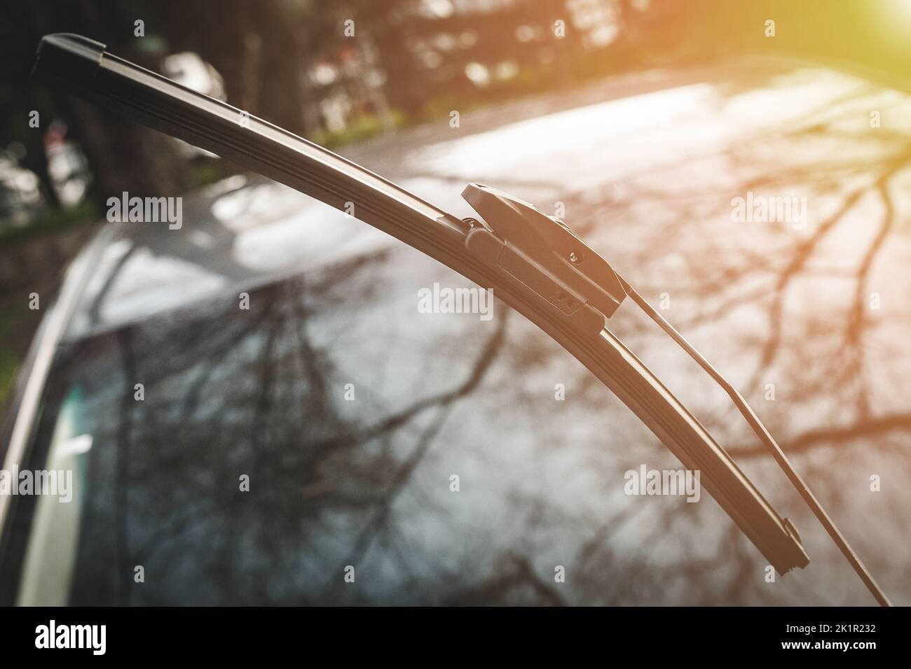 Car wiper raised above the windshield for maintenance Stock Photo - Alamy