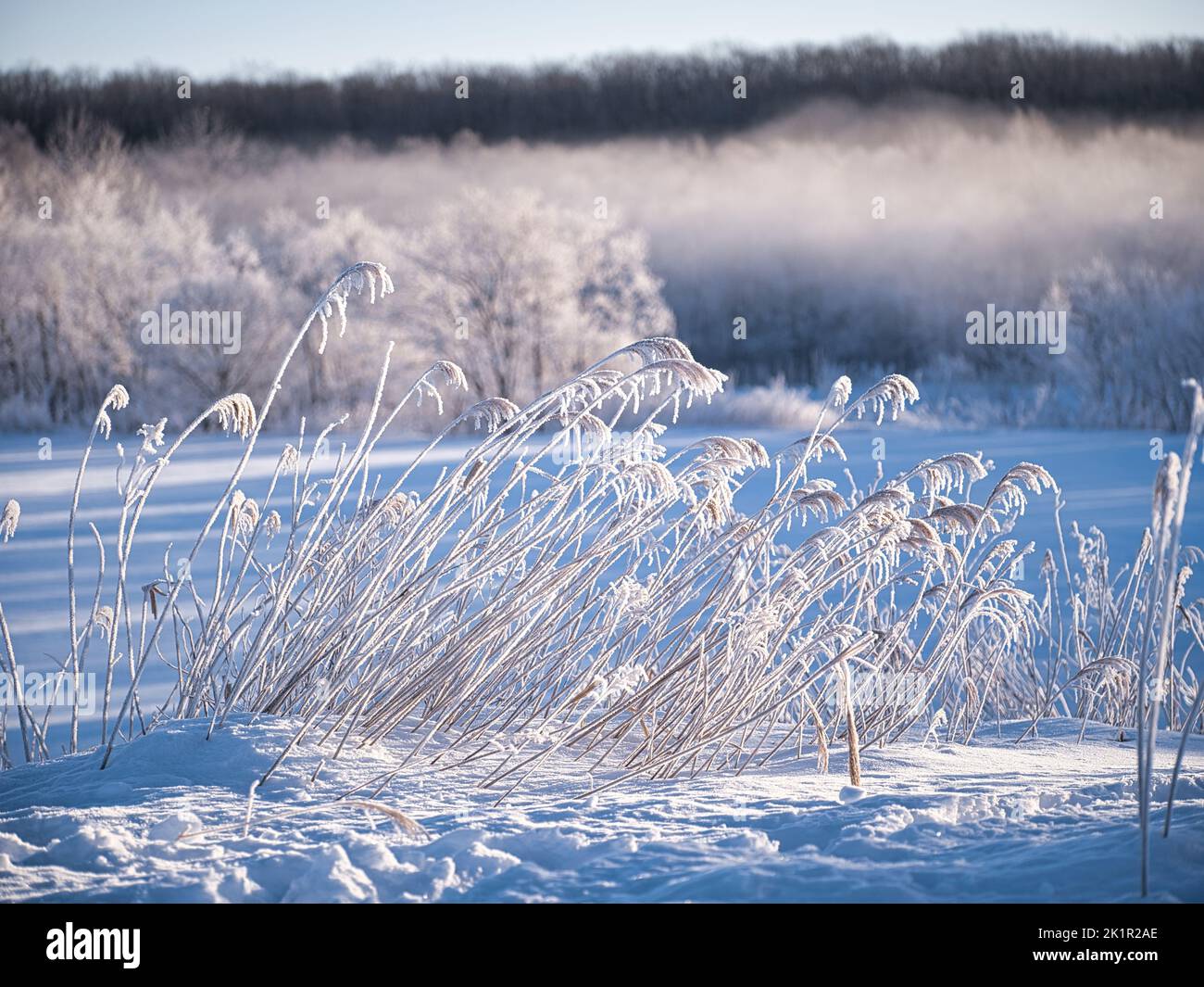 Rime Ice and Steam Fog Stock Photo - Alamy