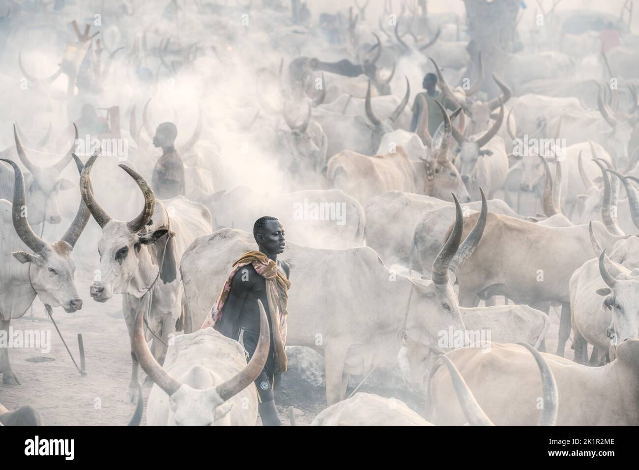 Here the herders are at work. South Sudan: THESE STUNNING images show ...