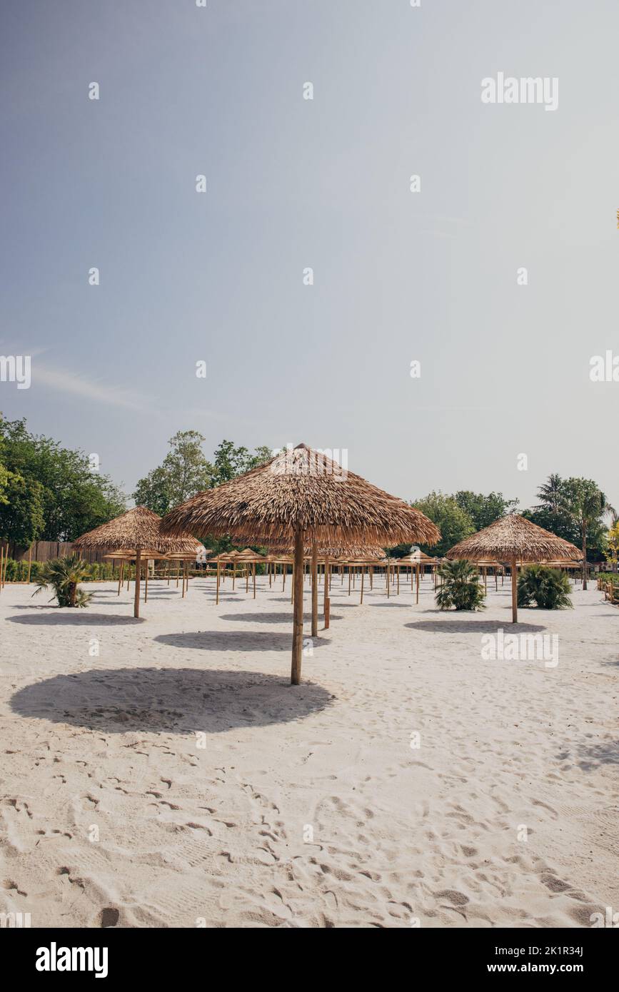 A vertical shot of rows of thatch umbrellas in the park Stock Photo - Alamy