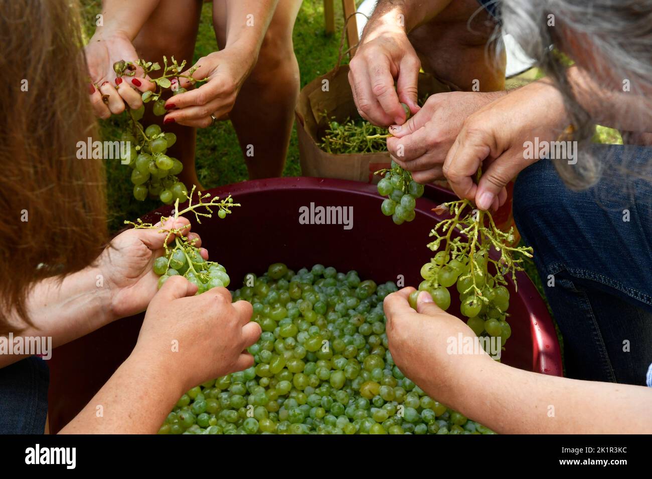 Home made vine making hi-res stock photography and images - Alamy