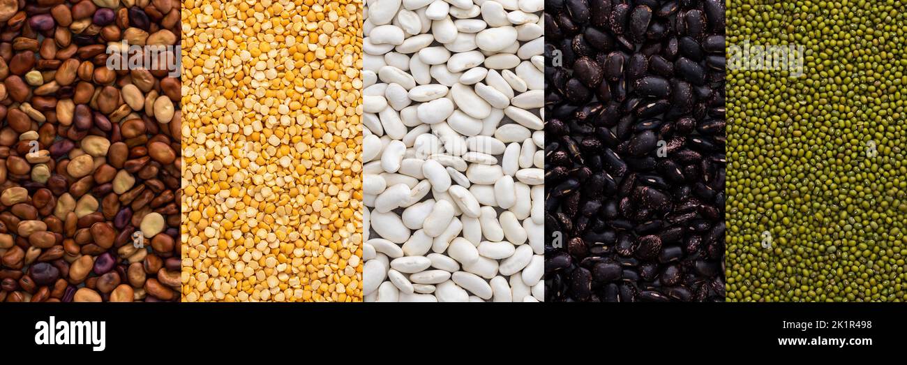 Different types of legumes banner, mung beans and green peas, brown ...