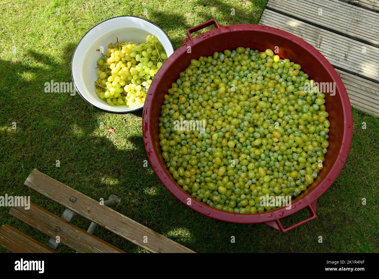 Home made vine making hi-res stock photography and images - Alamy