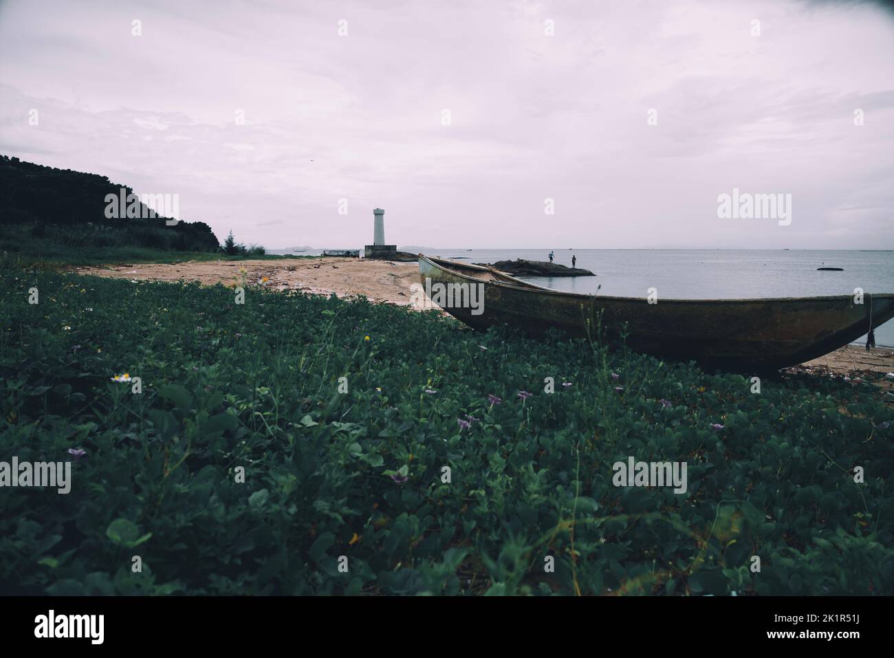 Boat and Petunia on beach Stock Photo - Alamy