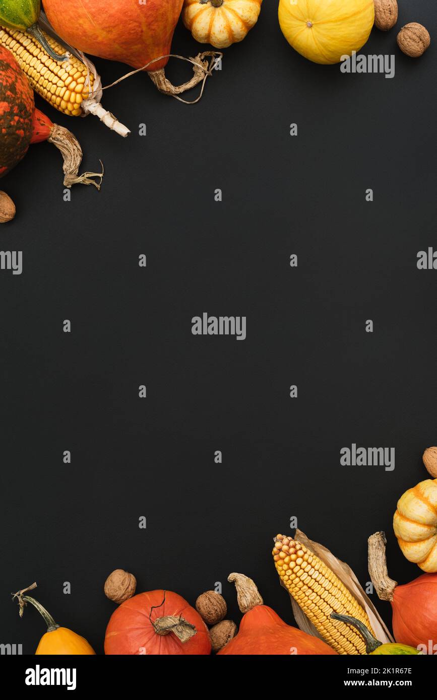 Fall Pumpkin Page Borders