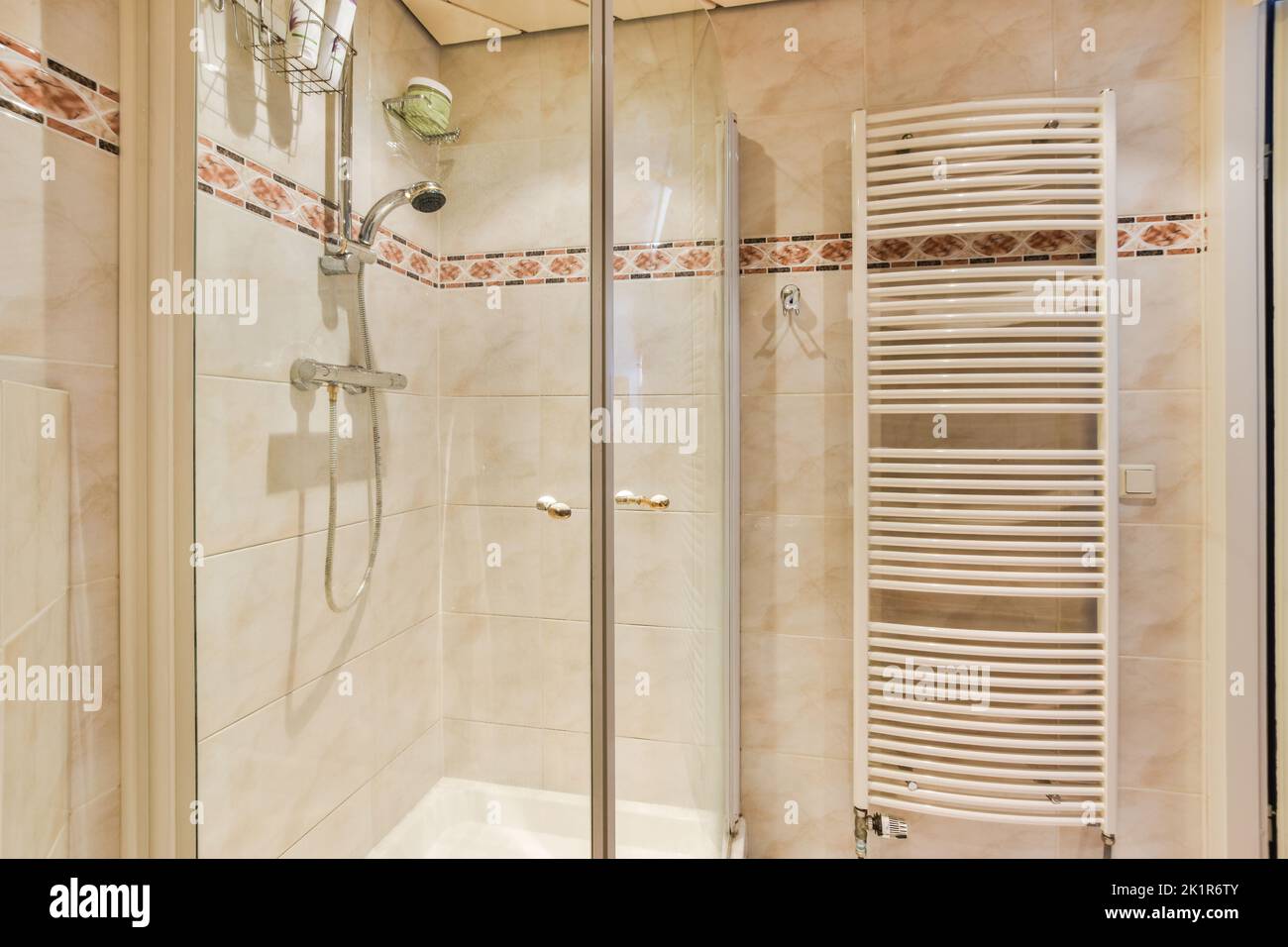 Stylish bathroom interior design with white toilet and bathtub with ...