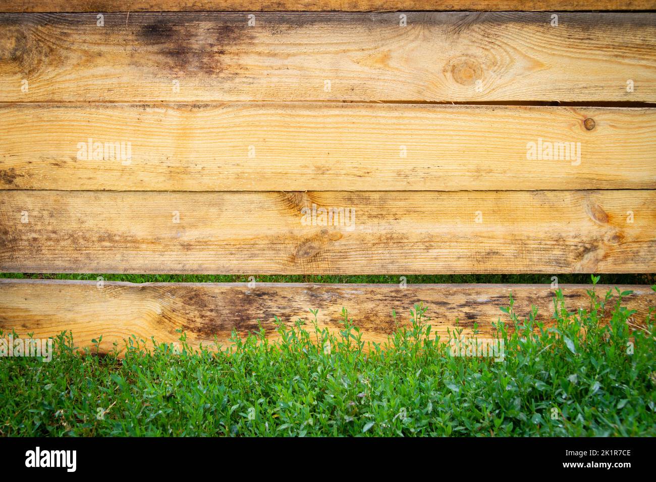 Texture of wooden boards. Place for label. Old board. Deep cracks Stock ...