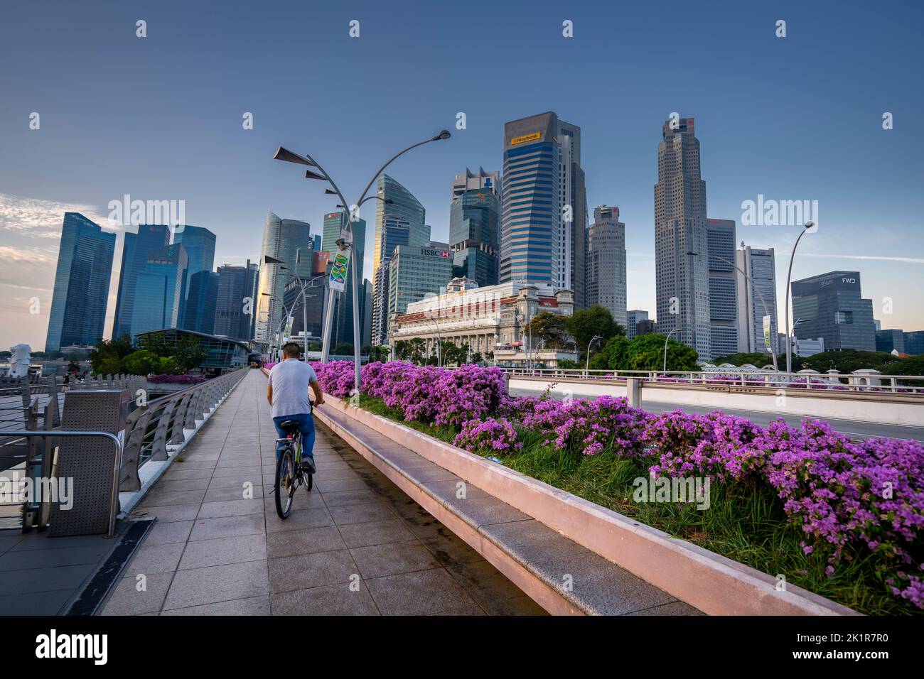 Man riding bike across Esplanade Bridge with skyline of business district in background, Marina ...