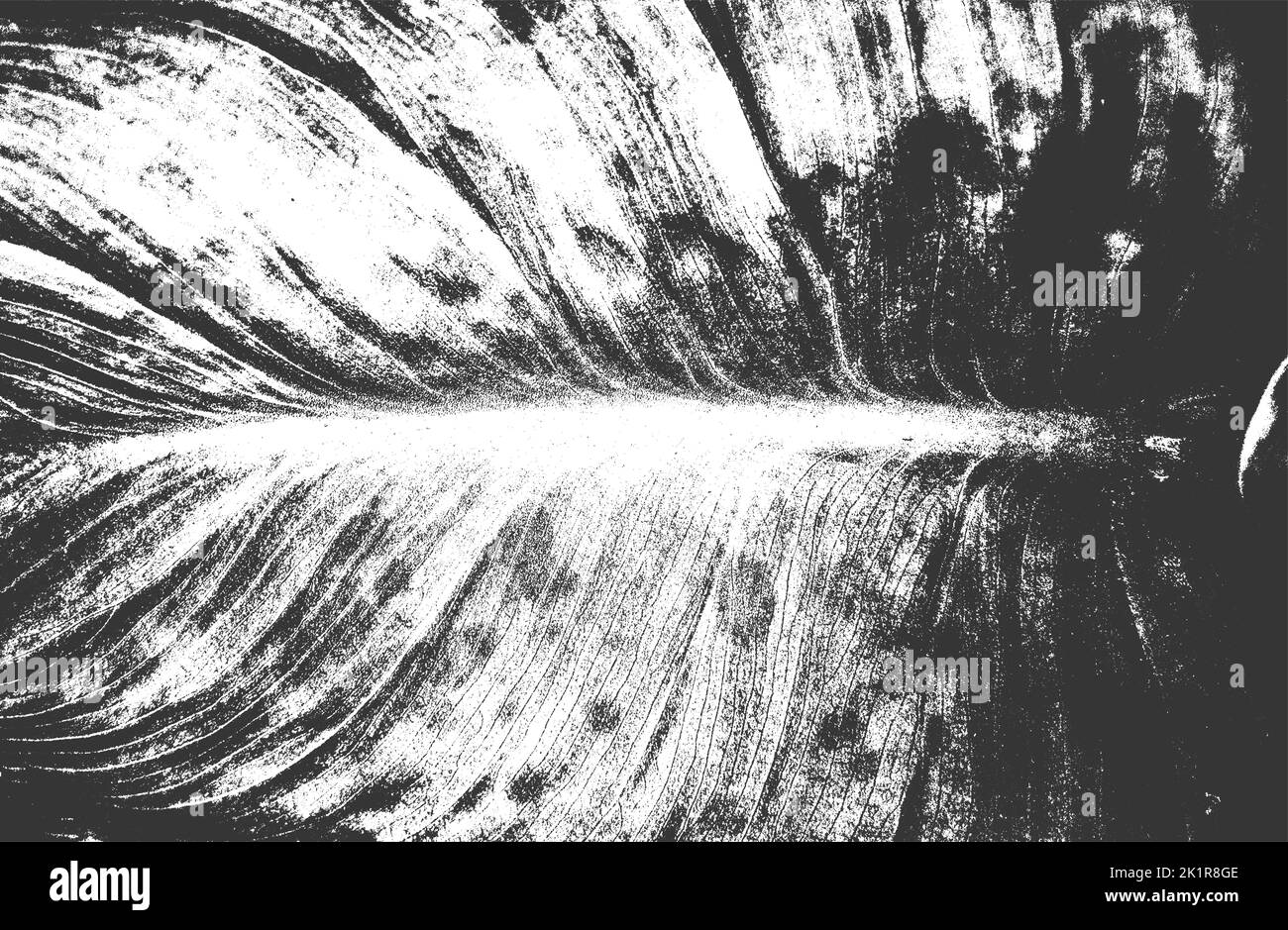 Distressed overlay wooden leaf macro texture with streaks. grunge black ...