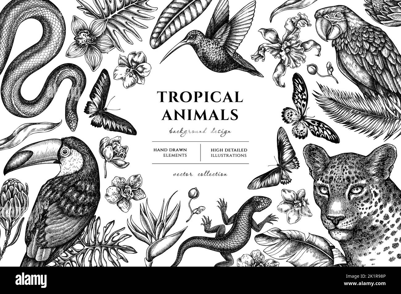 Tropical animals hand drawn illustration design. Background with sketch ...
