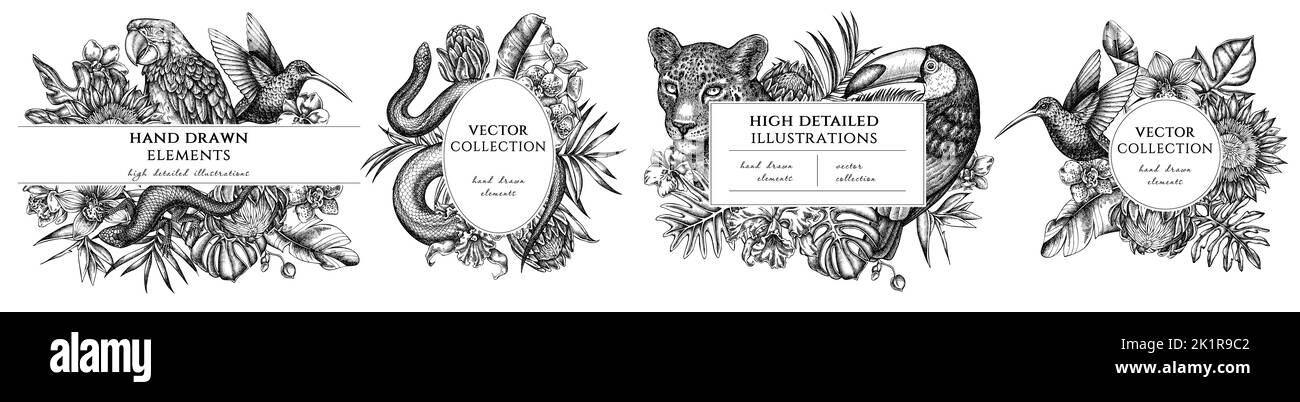 Tropical animals hand drawn frame templates. Vintage illustrations of ...