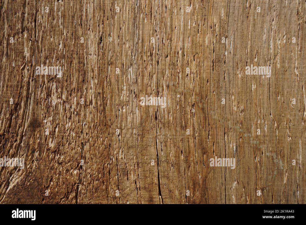 natural exterior of an old tree, background Stock Photo - Alamy