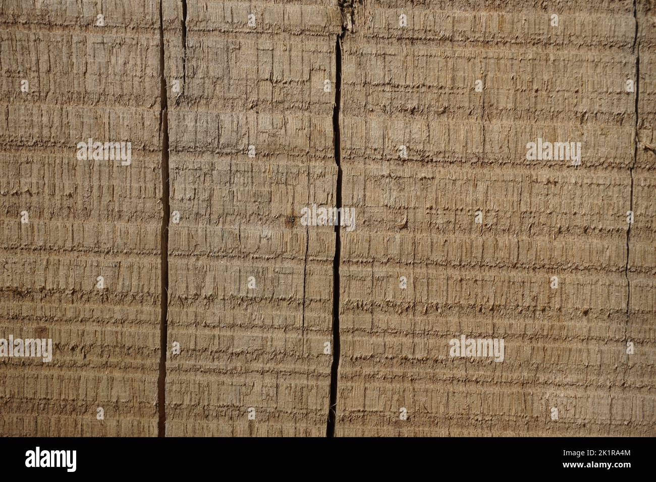 natural exterior of an old tree, background Stock Photo - Alamy