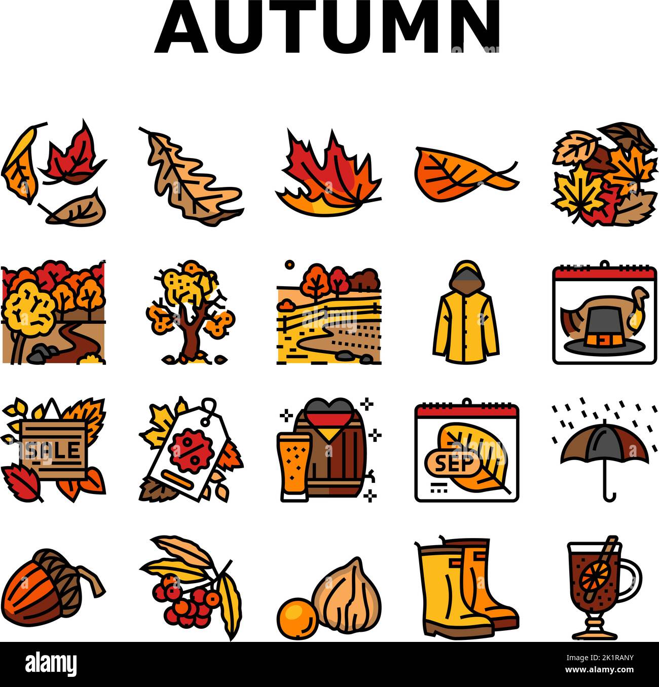 autumn fall leaf nature season icons set vector Stock Vector Image ...