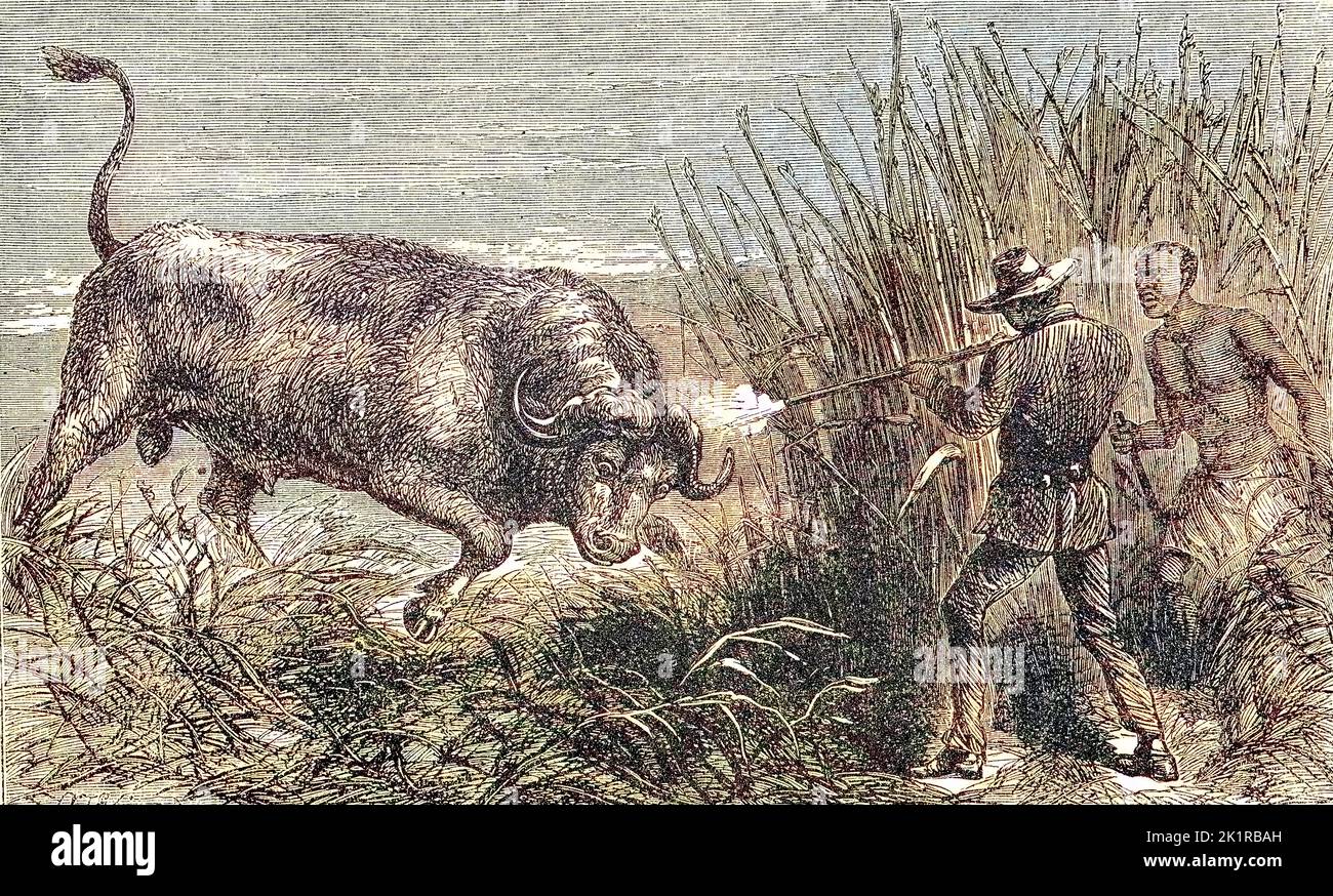 19th century rifle hunting hi-res stock photography and images - Alamy