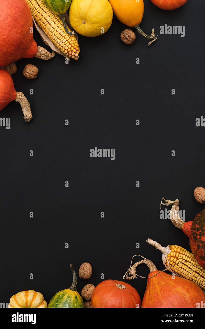 Thanksgiving day greeting card with pumpkin, decorative gourds and ...