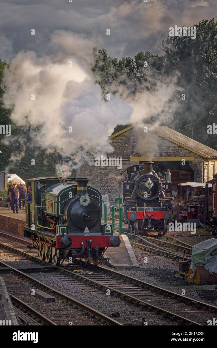 Pines express hi-res stock photography and images - Alamy