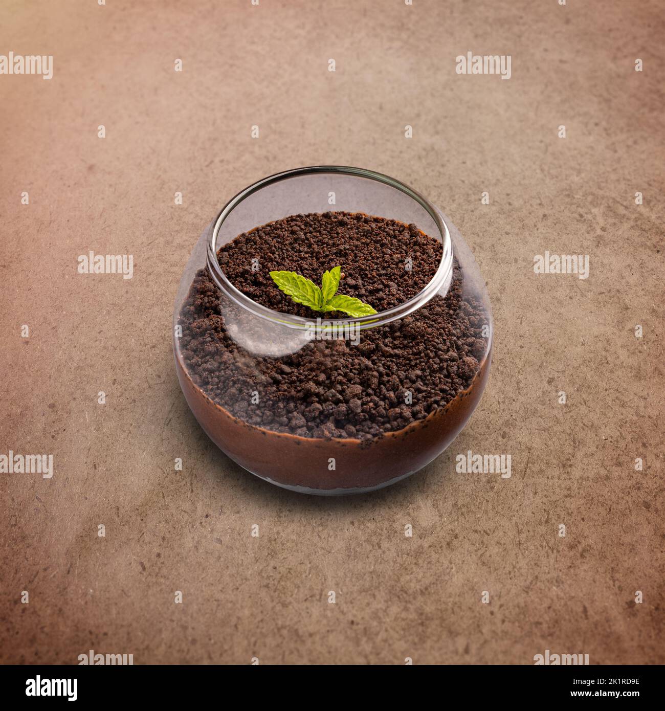 Homemade dark chocolate mousse decorated with chocolate ground served ...