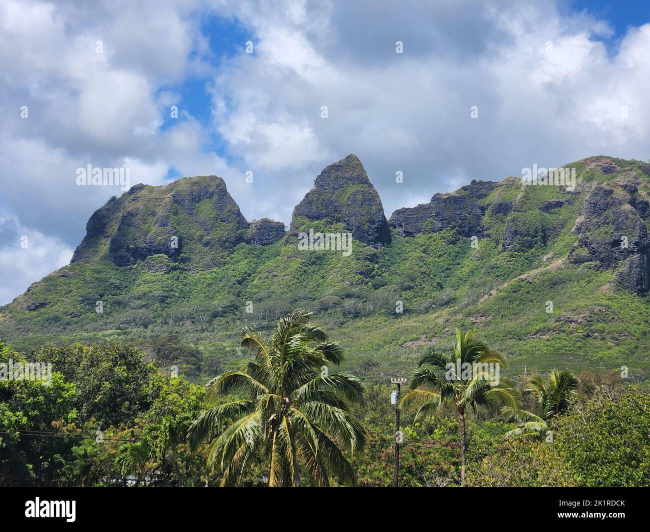 The rocks and palms of the Cook Islands under the blue cloudy sky Stock ...