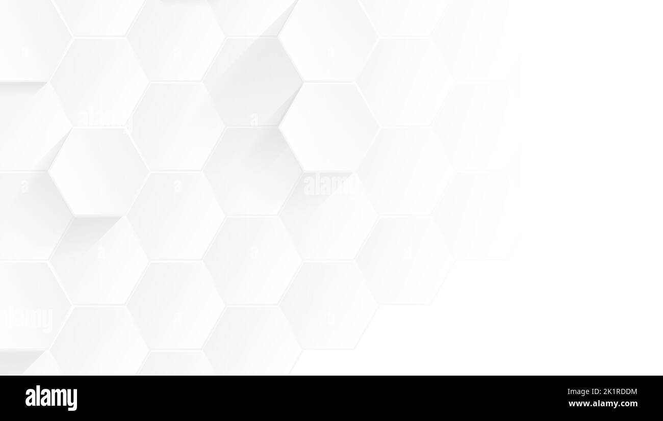 Minimalist and Modern Future Hexagon Abstract Geometric White and Gray Color Polygon Background ...