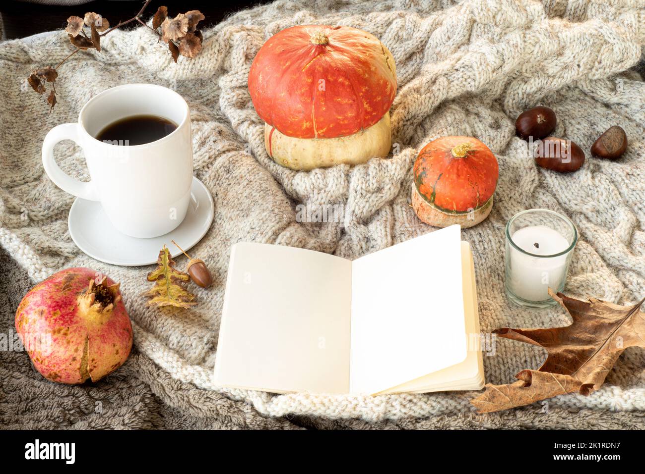 Cozy autumn breakfast scene in sunlight.Blank open notebook mockup with ...