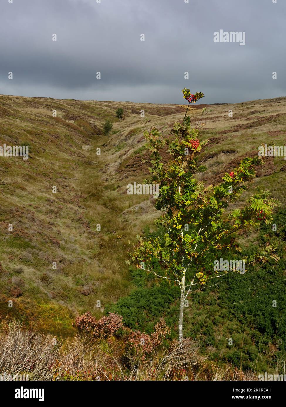 Mythic landscape hi-res stock photography and images - Alamy