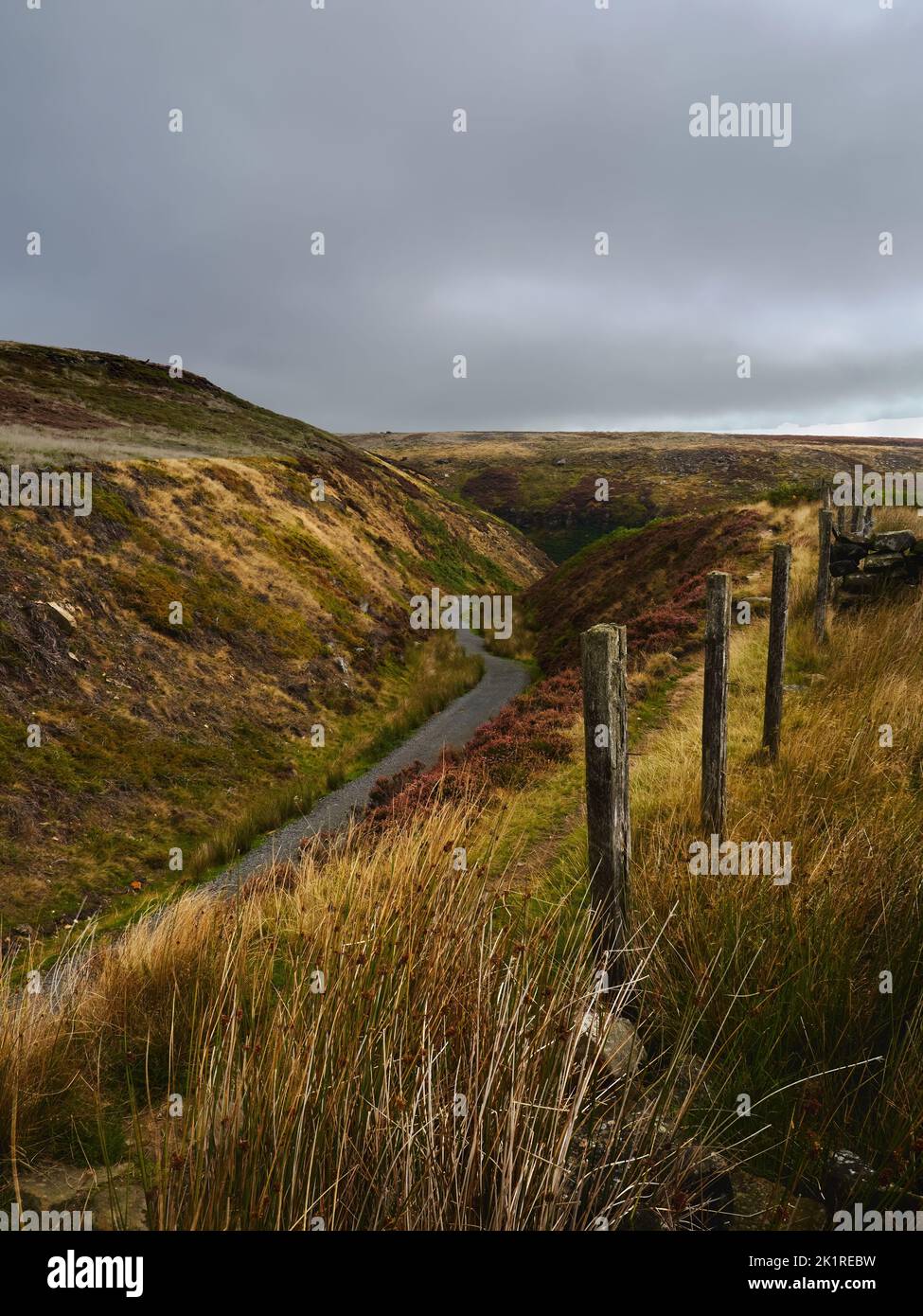 Autumn’s arrival in Yorkshire - a path curving way to the distance in ...