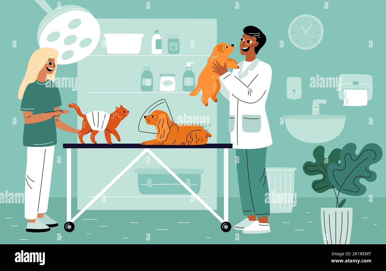 Vet doctor appointment. Cartoon people and pets. Animal surgery ...
