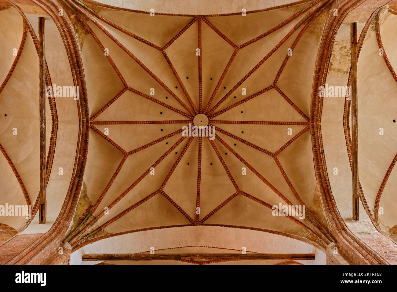Stellar vault above the crossing of the Georgenkirche (Church of St ...