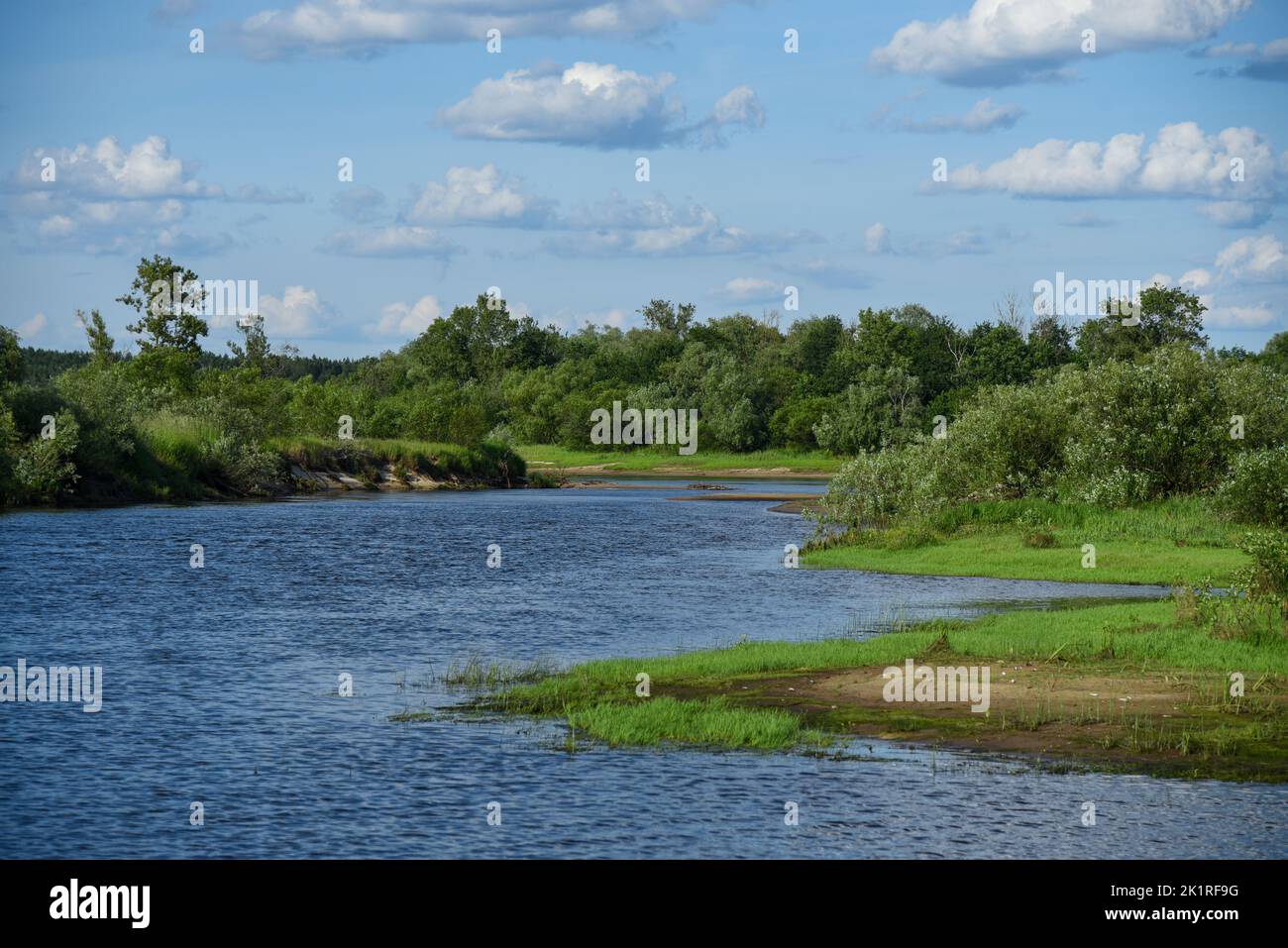 A wide shallow river flows in a field with trees Stock Photo - Alamy