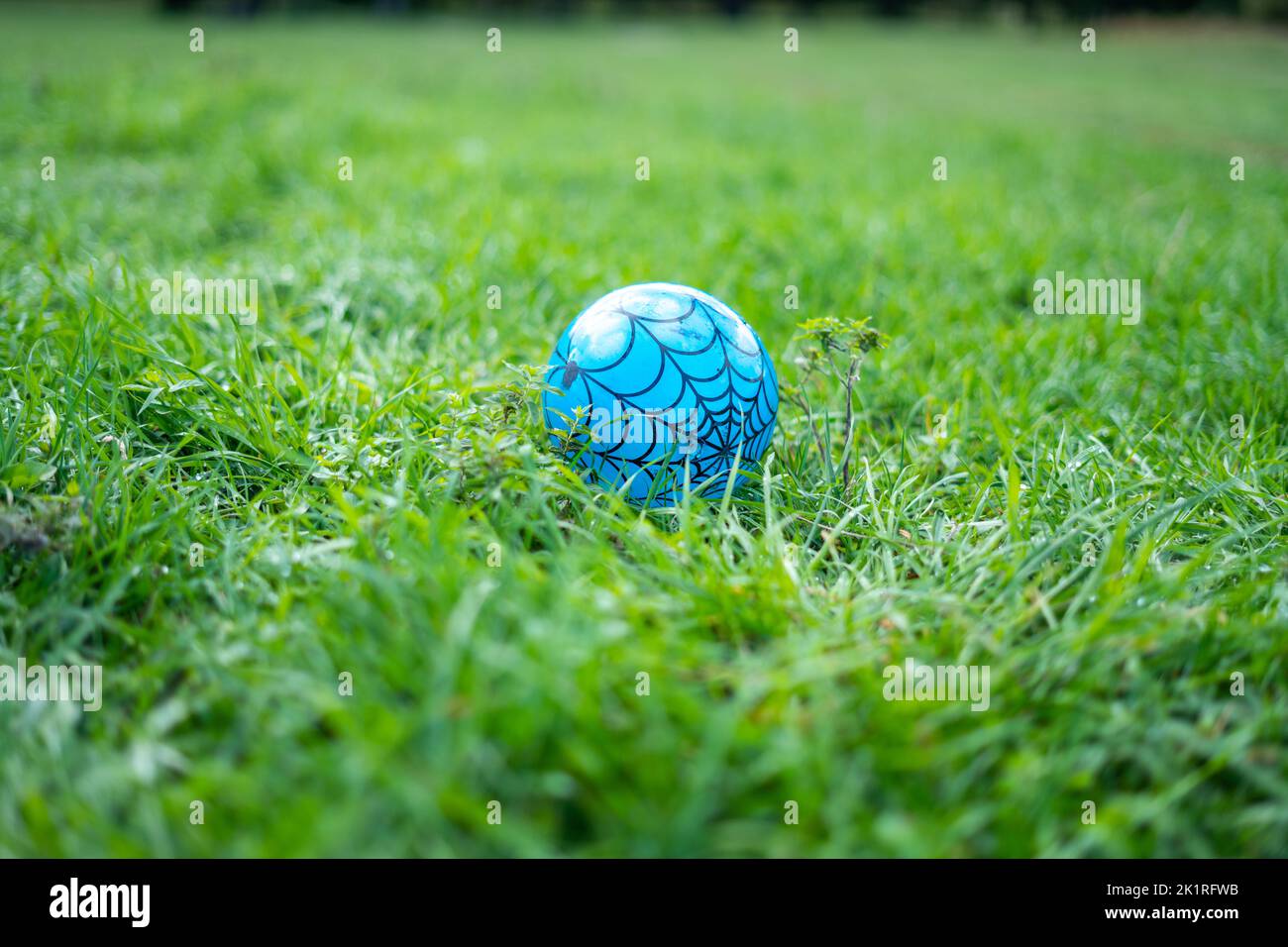 Children's ball with spider web pattern on green grass with blurred ...