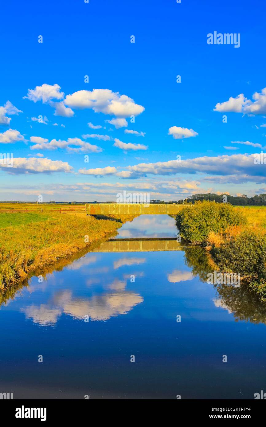 North German agricultural field forest river water dyke dike and nature ...