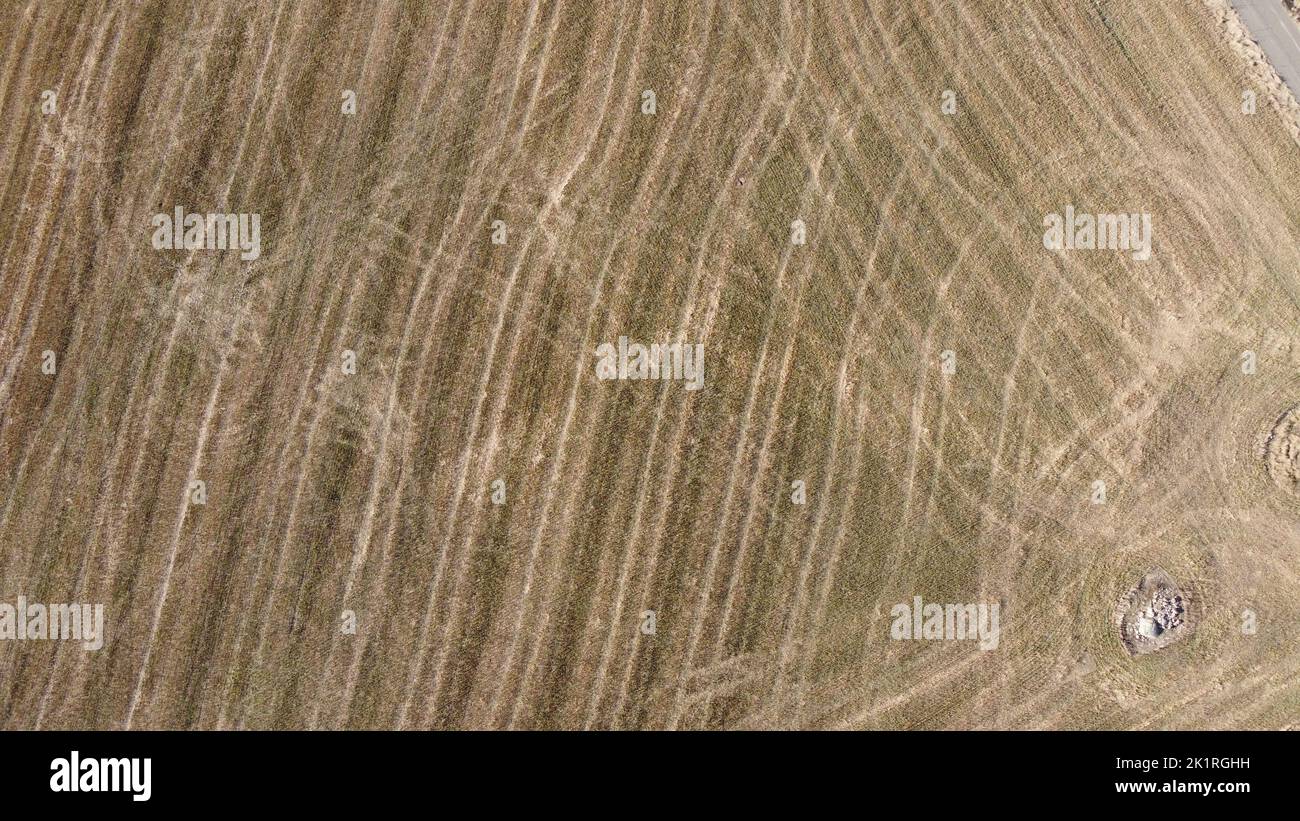 A top view of cultivated land on a farm with abstract trail roads Stock ...