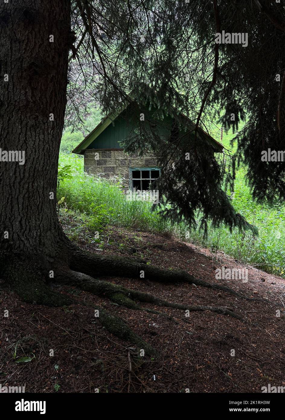 small fairy-tale hut in the forest, a forester's house Stock Photo - Alamy