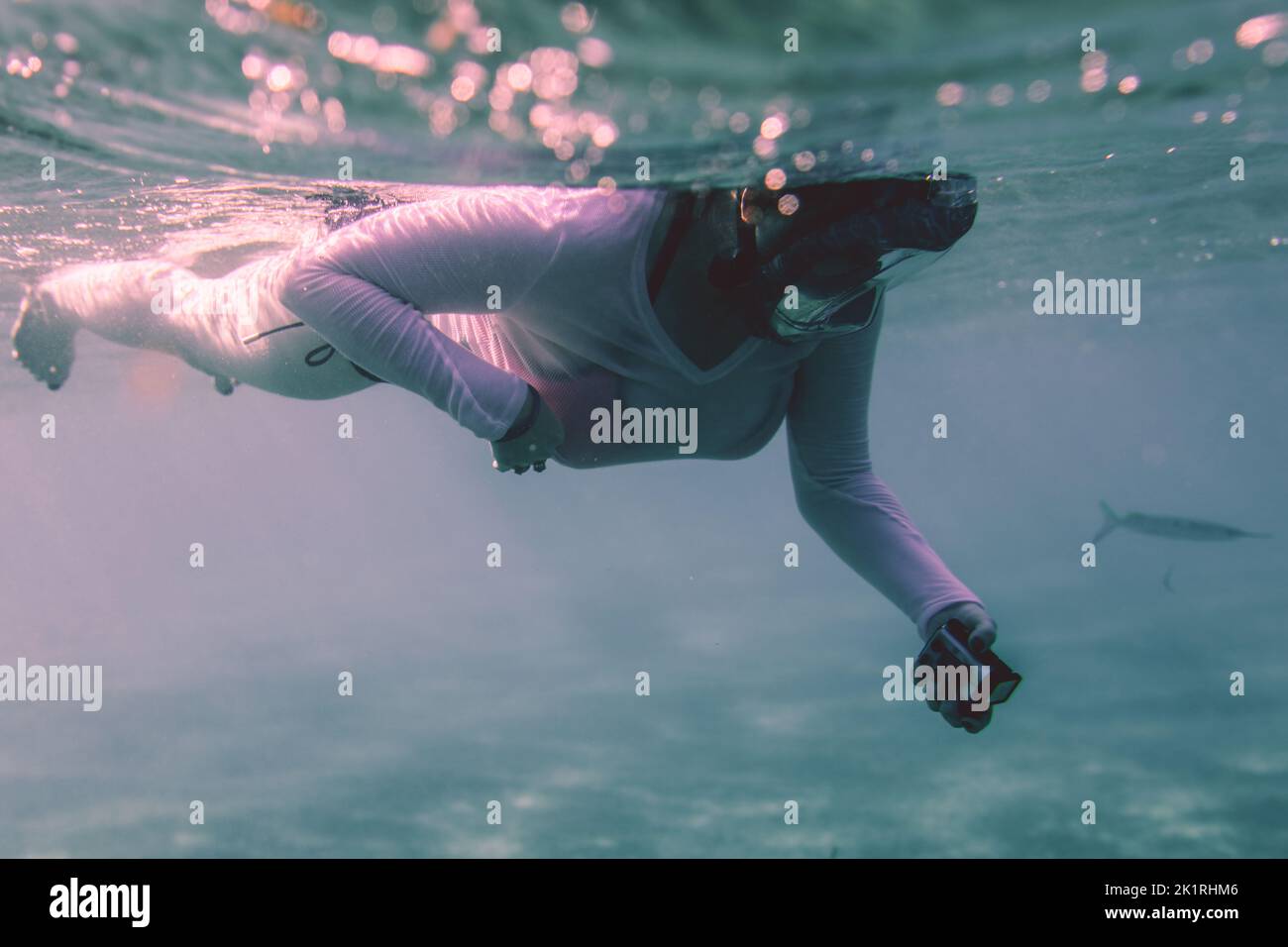 White Woman Tourist diving Red Sea underwater with the Wild Sea Turtles ...