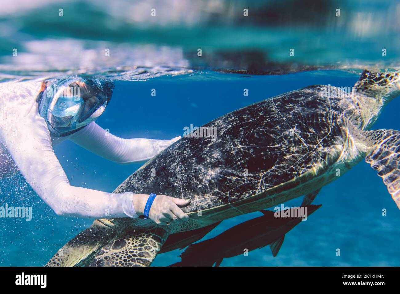 White Woman Tourist diving Red Sea underwater with the Wild Sea Turtles ...