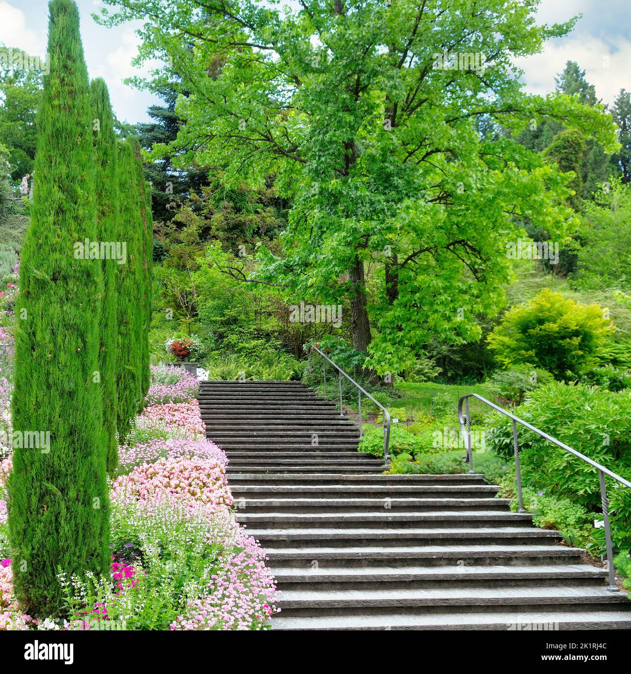 Flower garden and other plants, a staircase and a waterfall on the ...