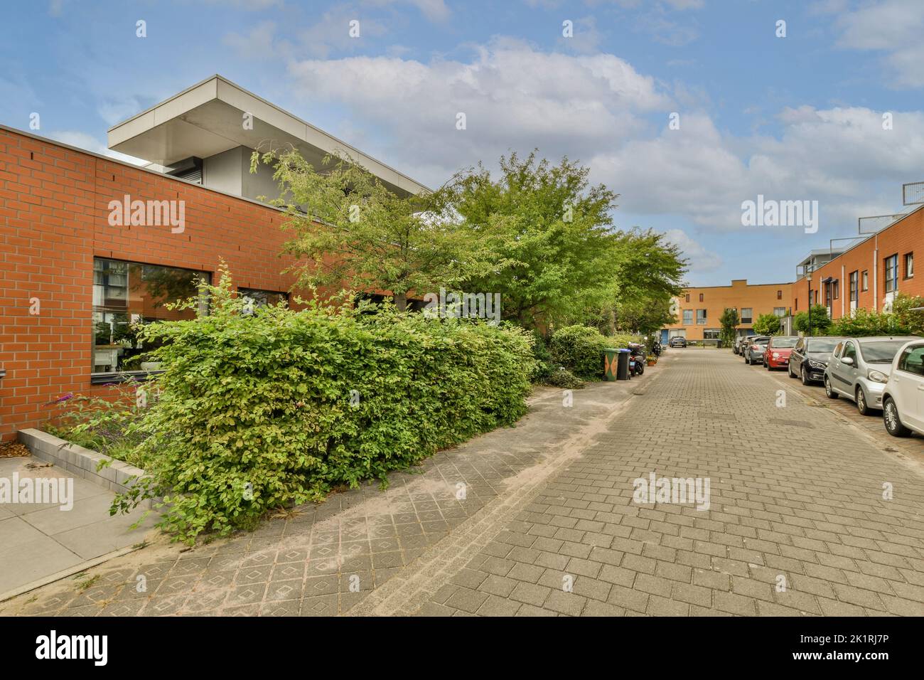 View of street near building with beauty of vegetation outsideView of ...