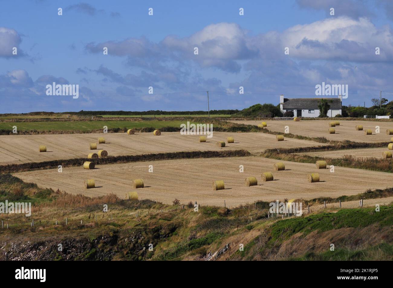 Bales of hay in Ireland Stock Photo - Alamy