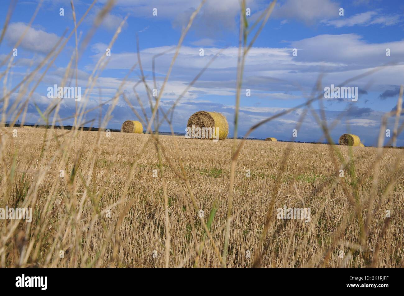 Hay bales on sunny hi-res stock photography and images - Alamy