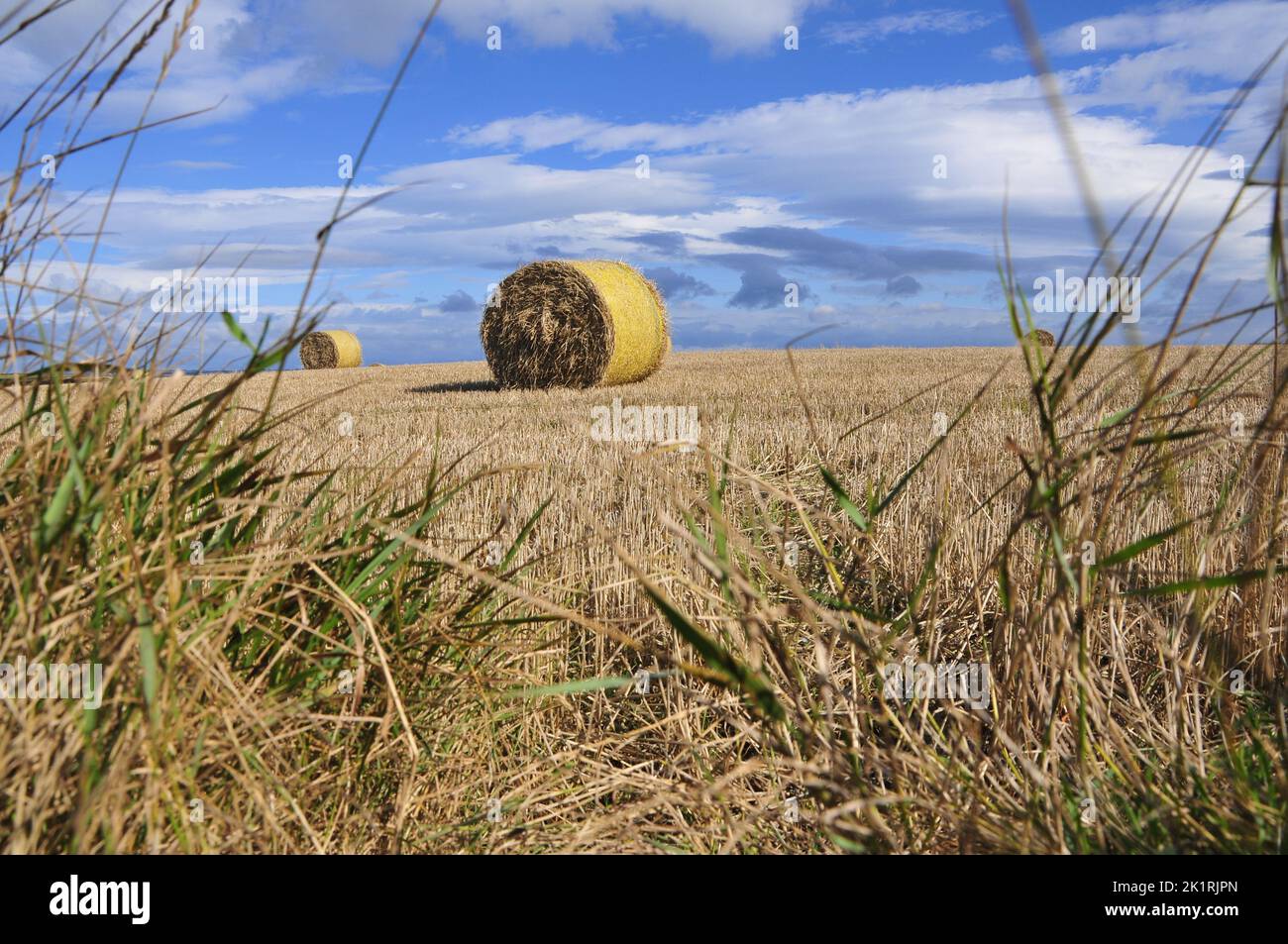 Blue sky backfround hi-res stock photography and images - Alamy