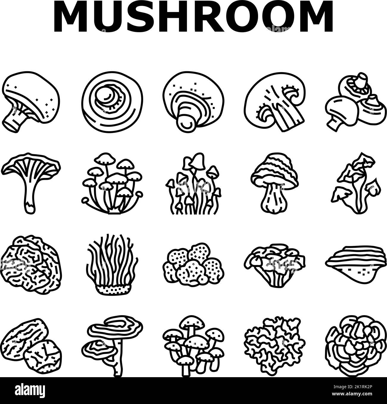 mushroom food forest fungi icons set vector Stock Vector Image & Art ...