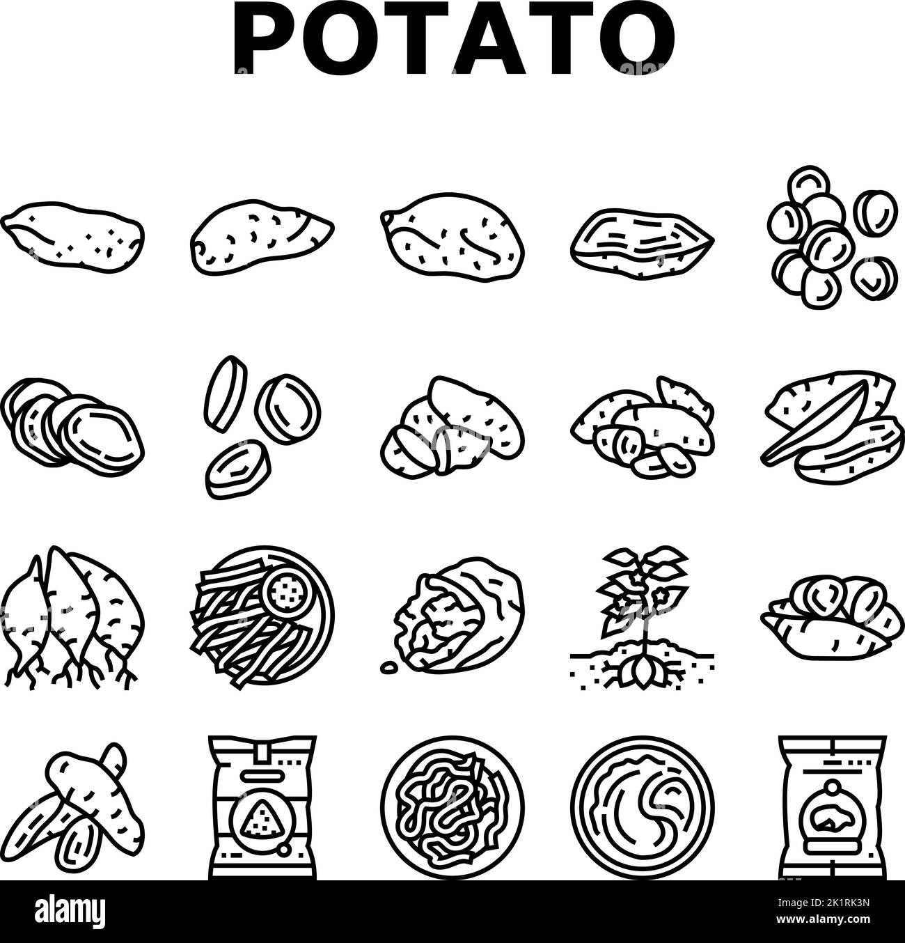 Orange tuber Black and White Stock Photos & Images - Alamy