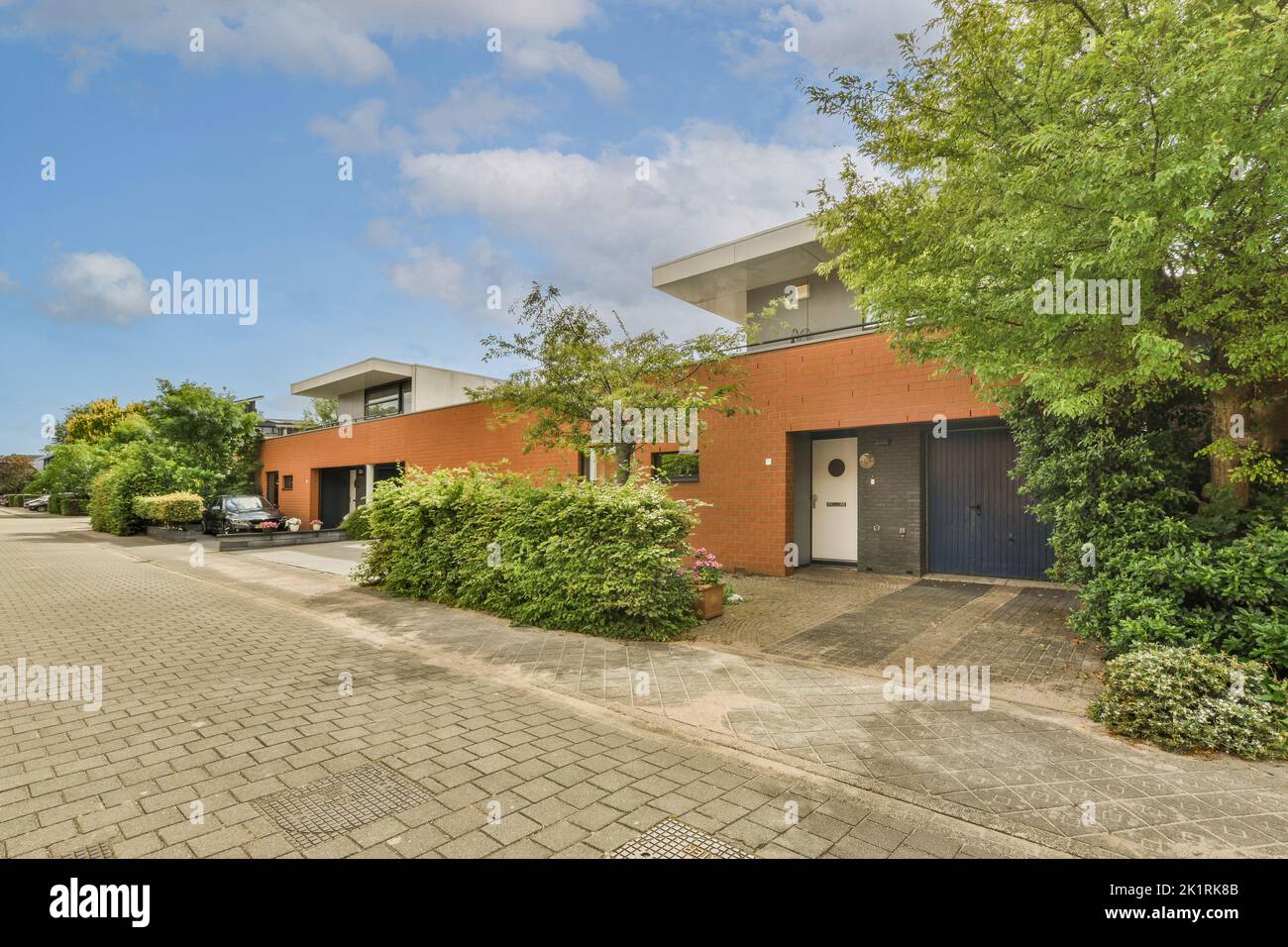 View of street near building with beauty of vegetation outsideView of ...