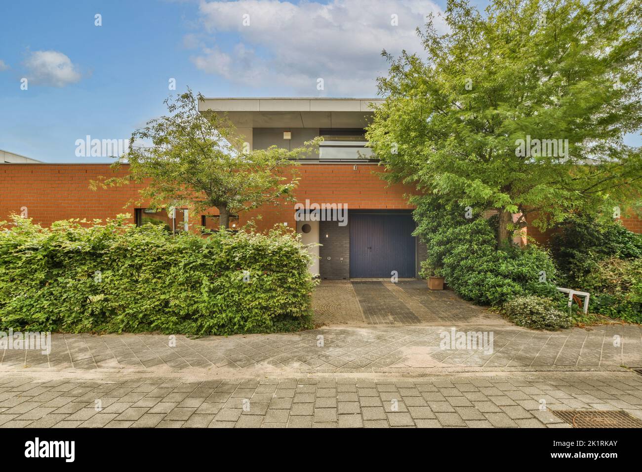View of street near building with beauty of vegetation outsideView of ...