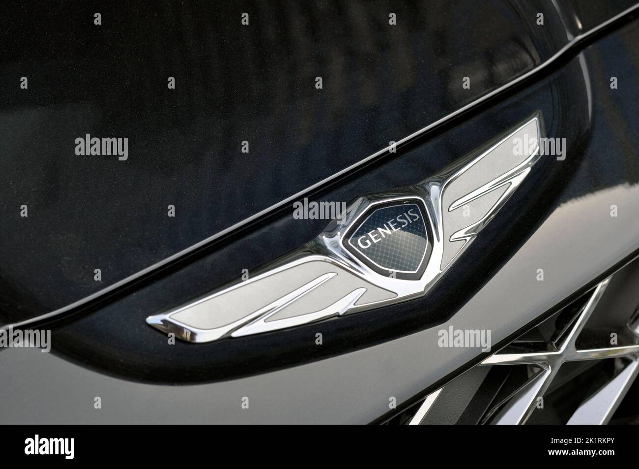 Executive Genesis Logo