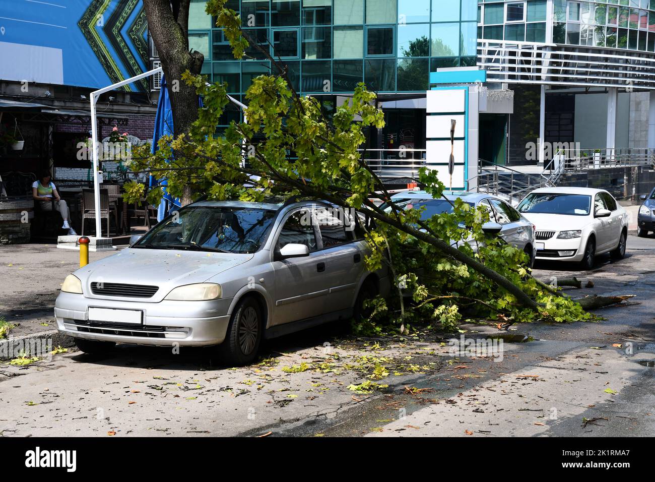 City urban view auto accident broken tree strong wind close up ...