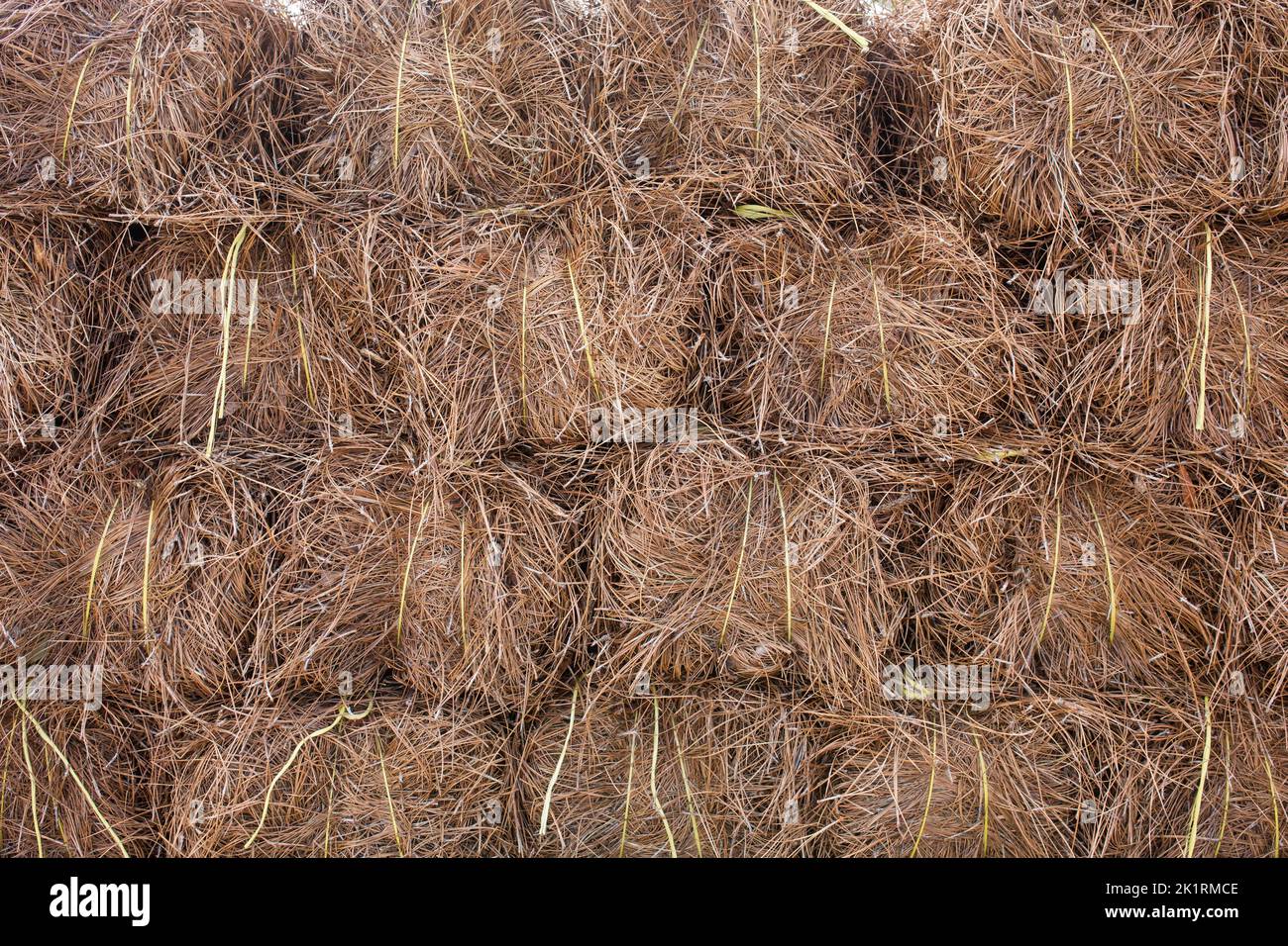 Straw beds hi-res stock photography and images - Alamy