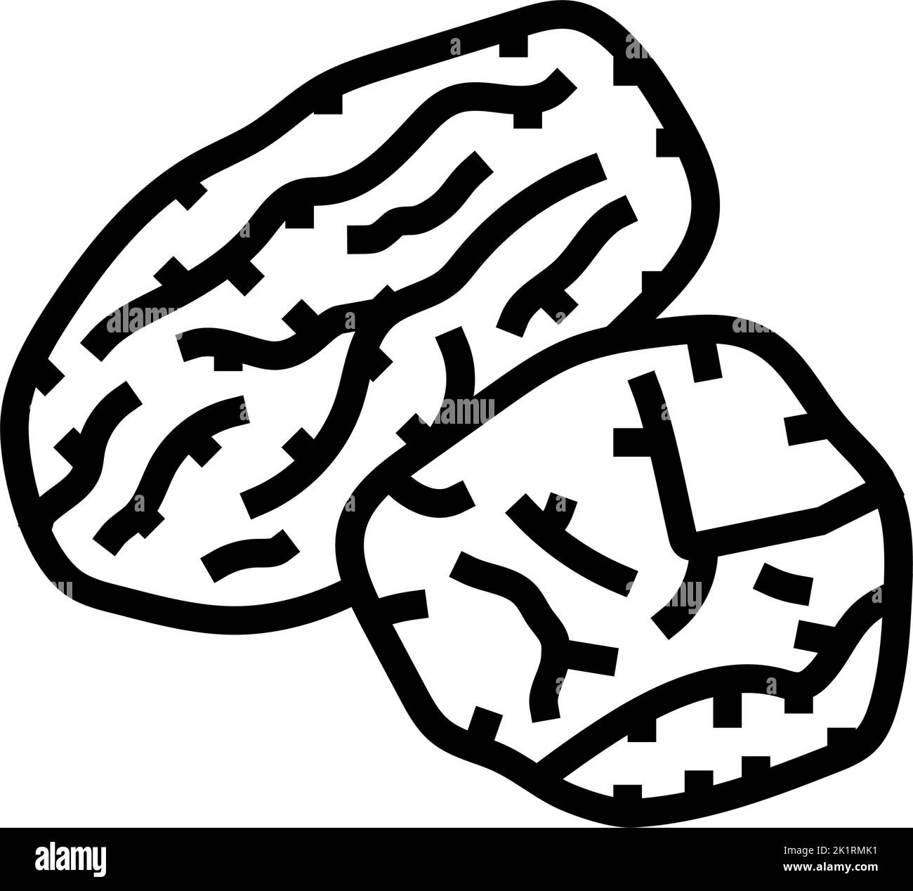 Cocos flower Black and White Stock Photos & Images - Alamy